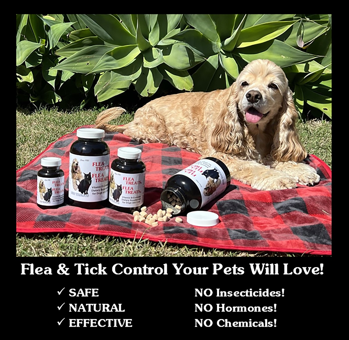 Check Out April Spurlock’s Story - Voyage LA Magazine | LA City Guide